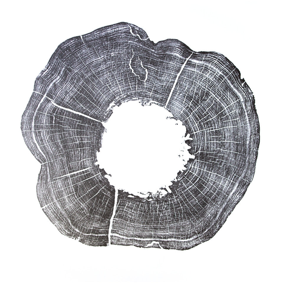 Heart Rot Walnut Tree Art Print – GOLDEN RULE GALLERY